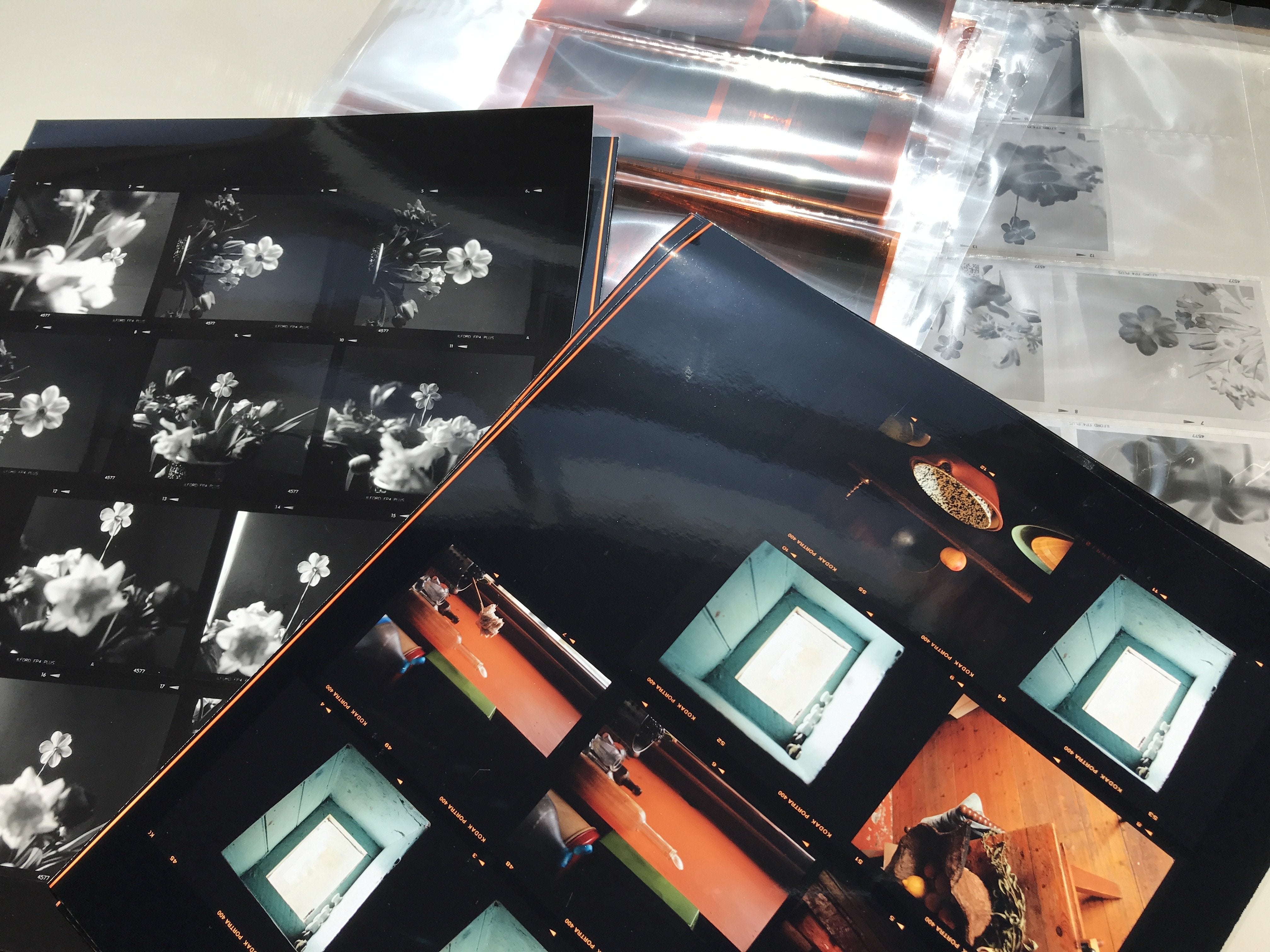 Colour (C41) 220 Dev, Scan & Traditional Contact Print – Rapid Eye ...